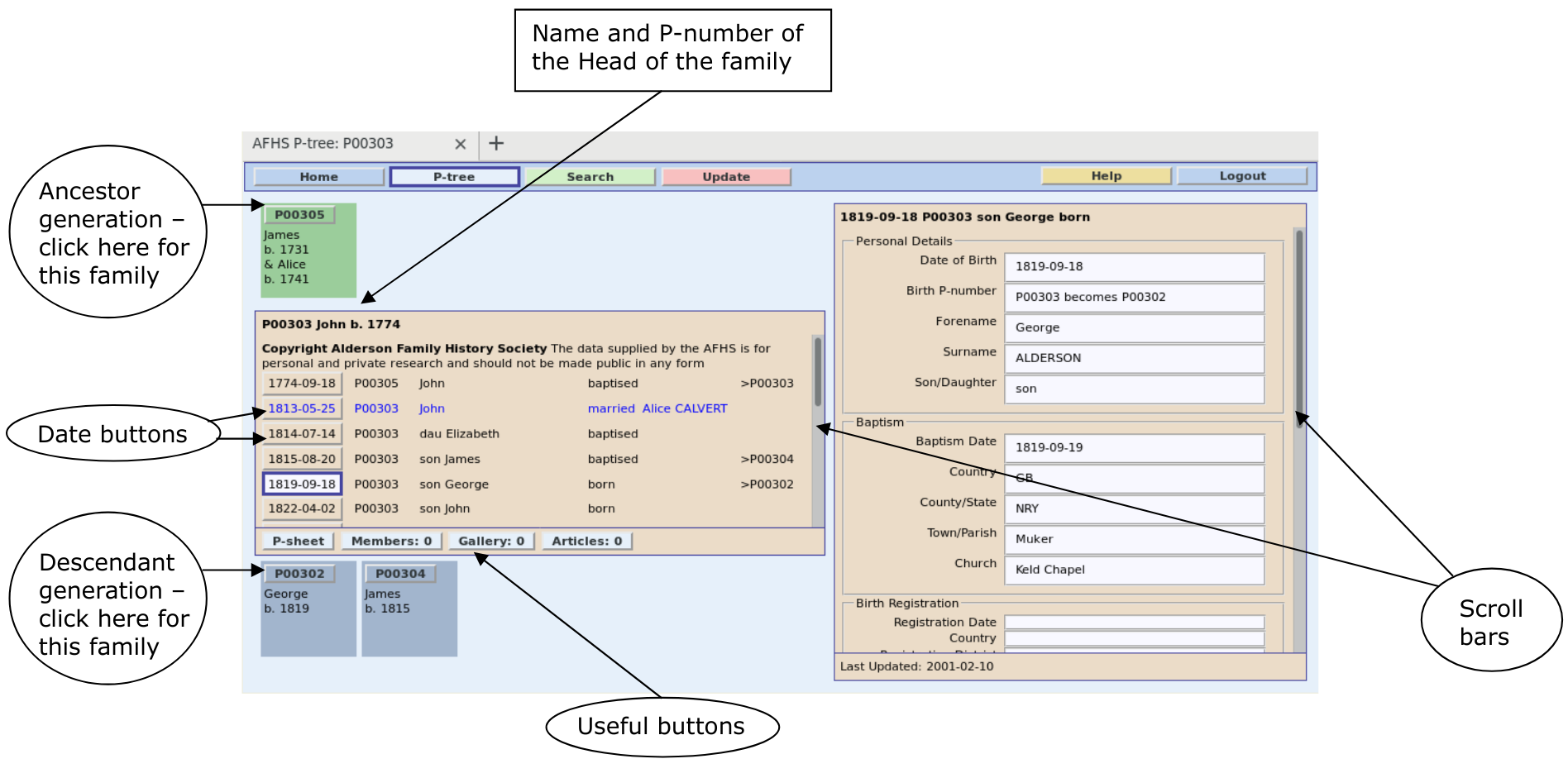 P-Tree - Alderson Family History Society